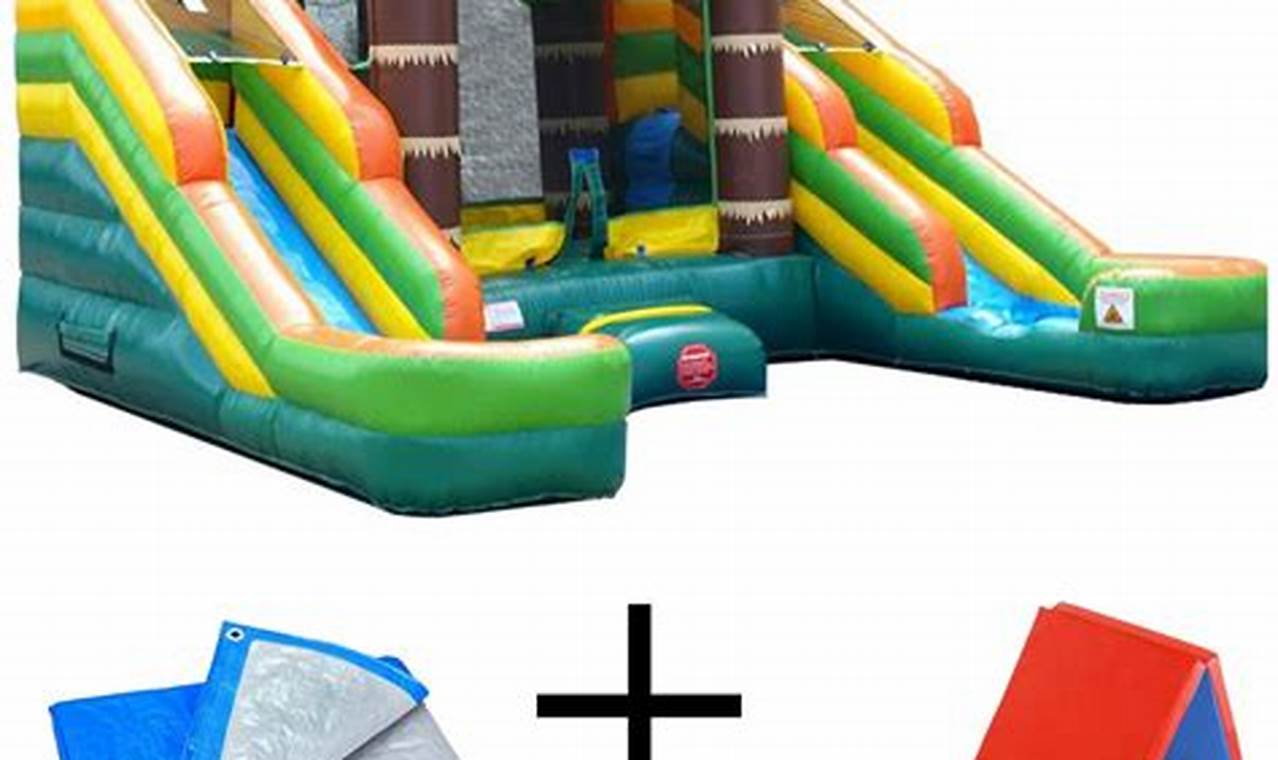 Dive into Thrilling Summer Fun with Inflatable Double Water Slides for ...